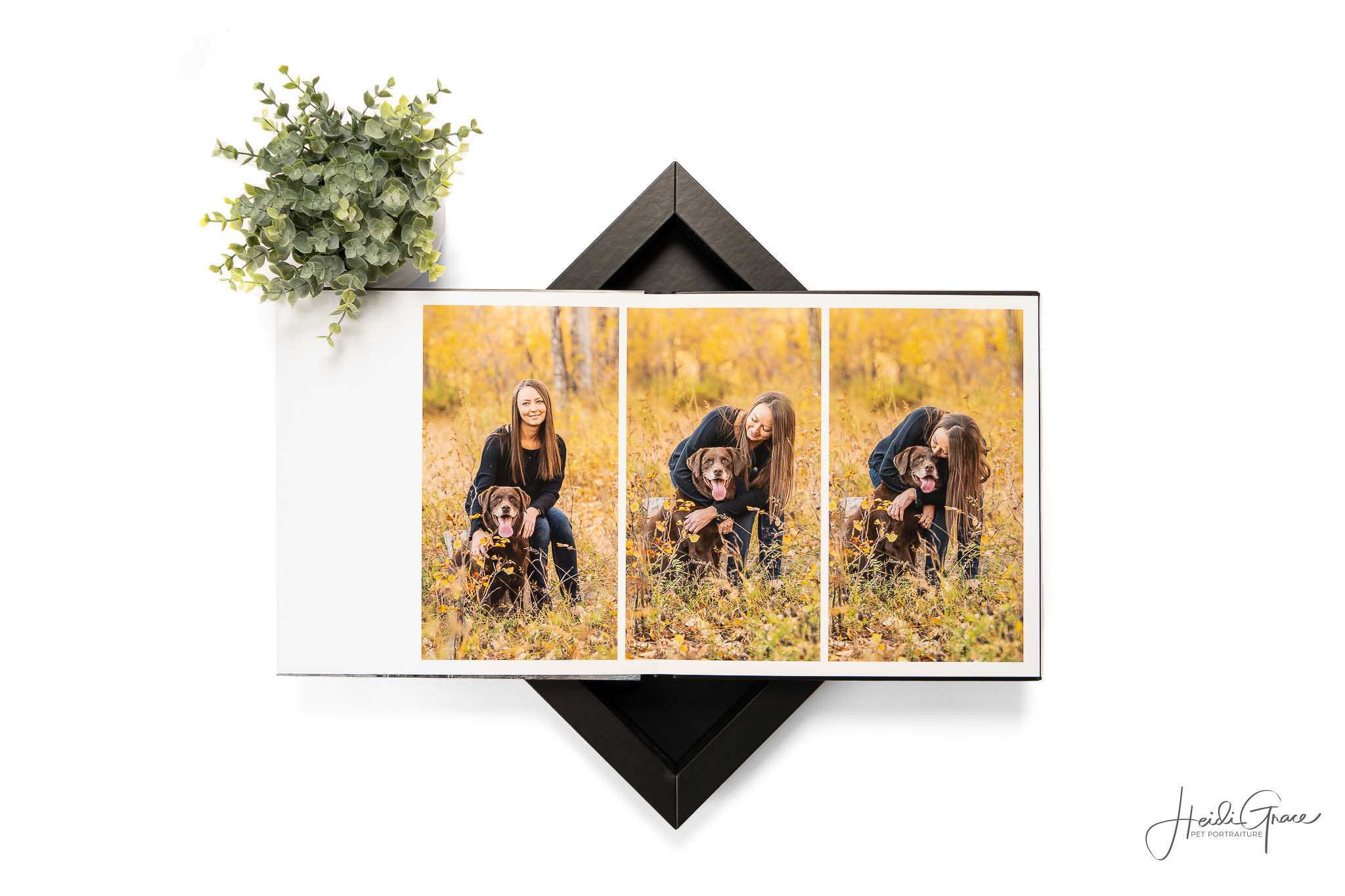 Outdoor Dog & Pet Photography in Calgary | Heidi Grace Pet Portraiture